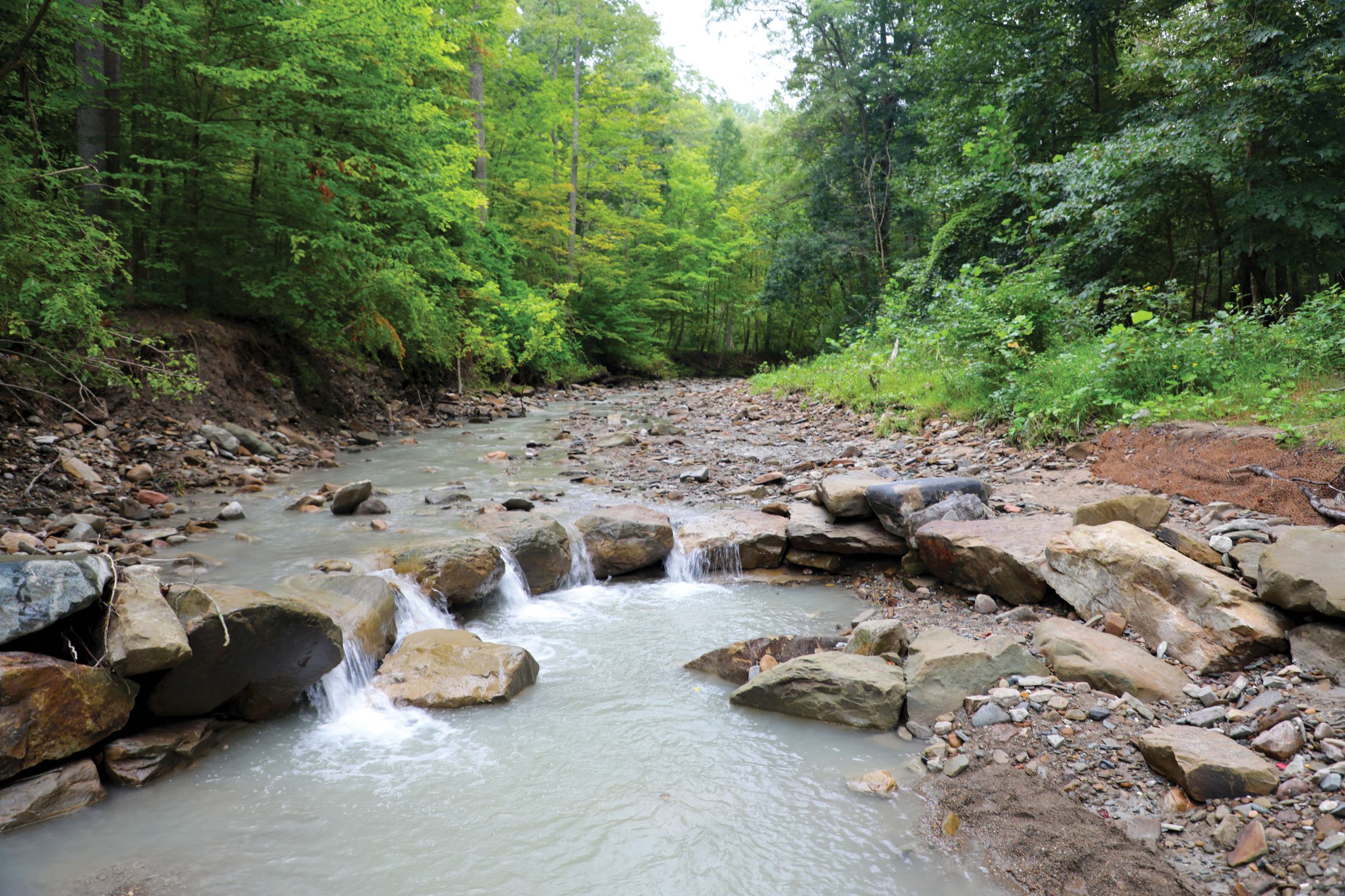 Summit Metro Parks History is Akron History