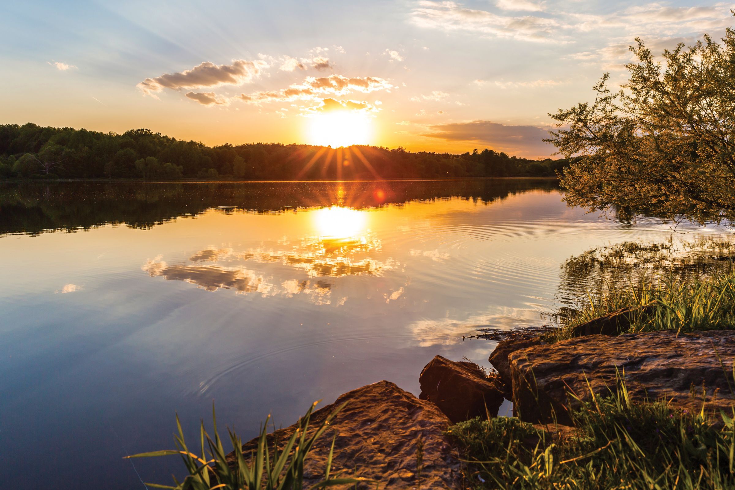 The Future of Silver Creek Metro Park in Norton, Ohio