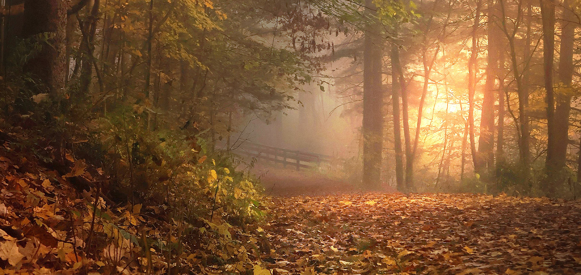 Your September Safety Newsletter